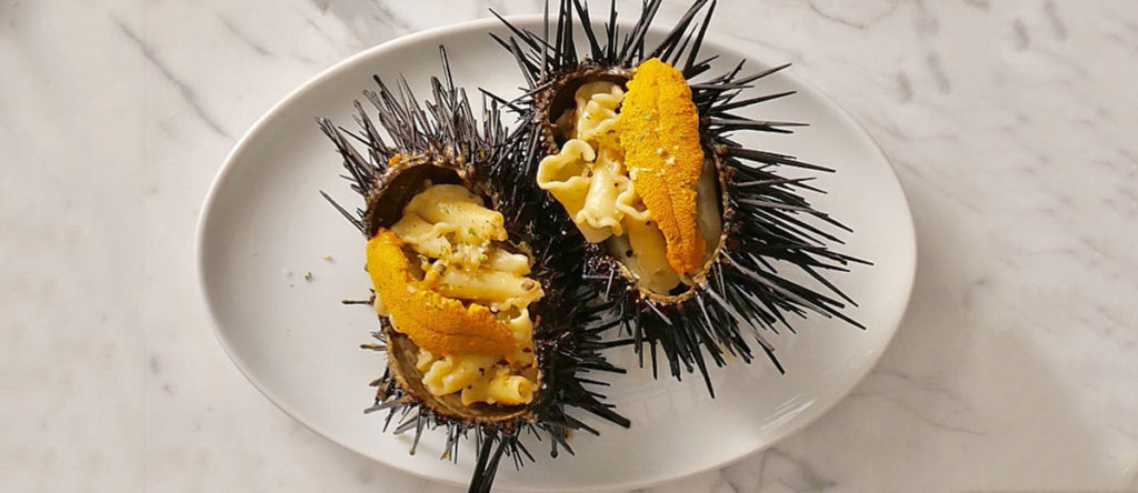 UNI on UNI Butter Campanelle – CHEFS ROLL